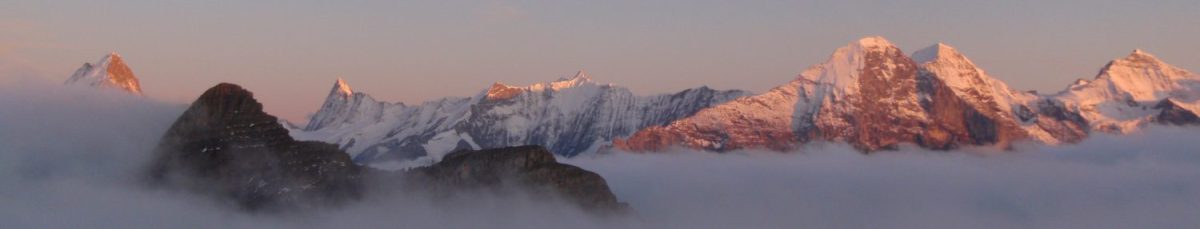 Public History – Rachel S. Gross